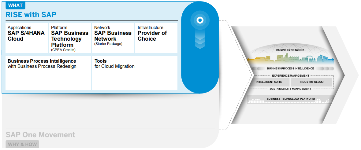 RISE With SAP: Unlocking New Business Value in the Cloud