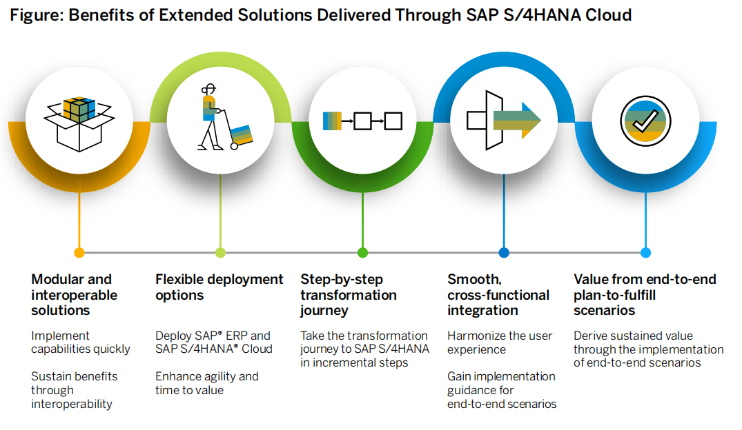 Manage the Processes That Differentiate Your Business with Extended ...