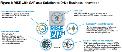 RISE with SAP: Driving Business Innovation Together | Blog