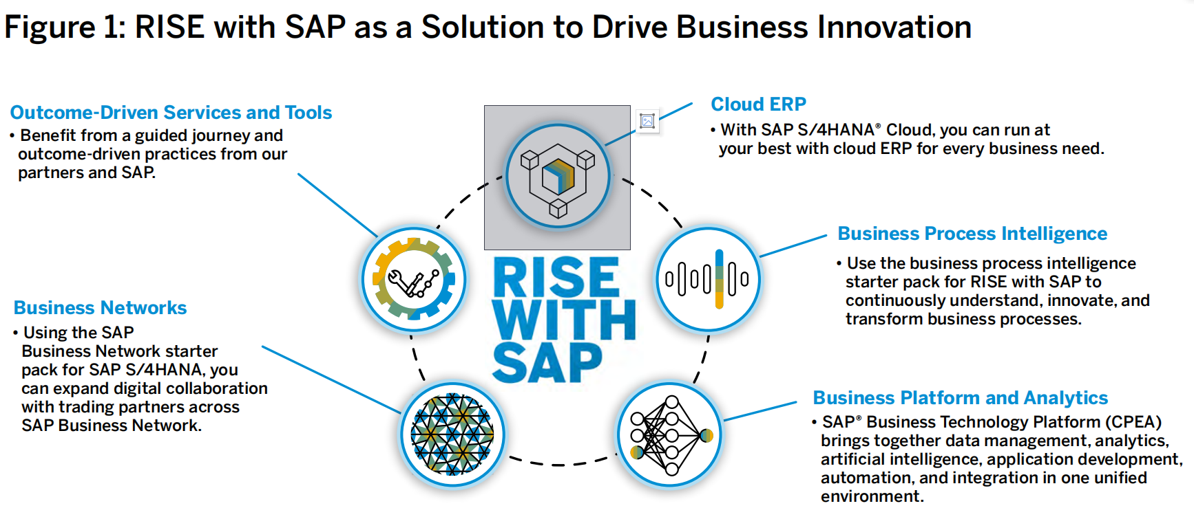 RISE with SAP: Driving Business Innovation Together | Blog
