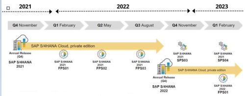 Primary Distinction Between SAP S/4HANA Public vs Private Cloud