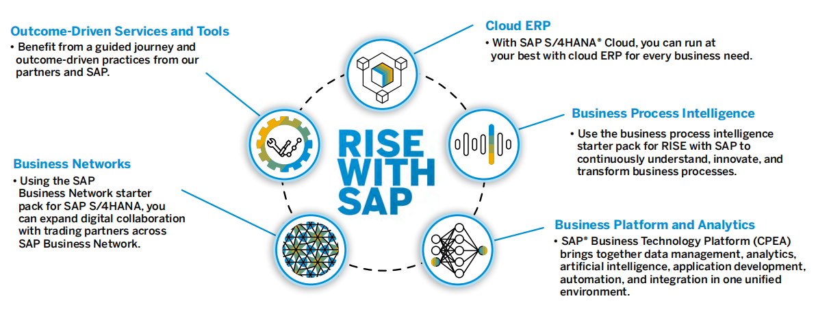 Unlock Business Potential: Rise with SAP - Empowering Success
